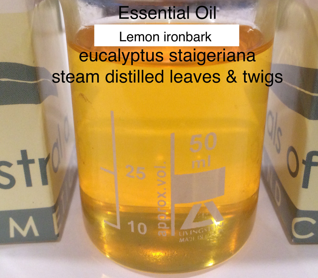 Lemon Ironbark Essential oil – Escentials Of Australia