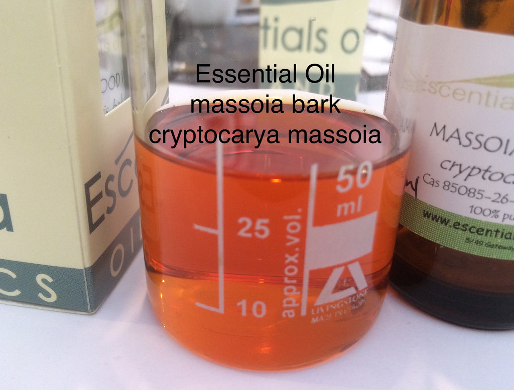 Massoia Essential Oil – Escentials Of Australia